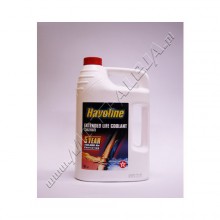 Texaco Havoline XLC+B2 koncentrat - płyn do chłodnic 5 litrów.